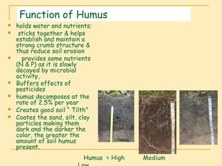 Soil organic matter A presentation by Mr.Allah Dad Khan | PPT