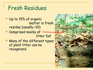 Soil organic matter A presentation by Mr.Allah Dad Khan | PPT