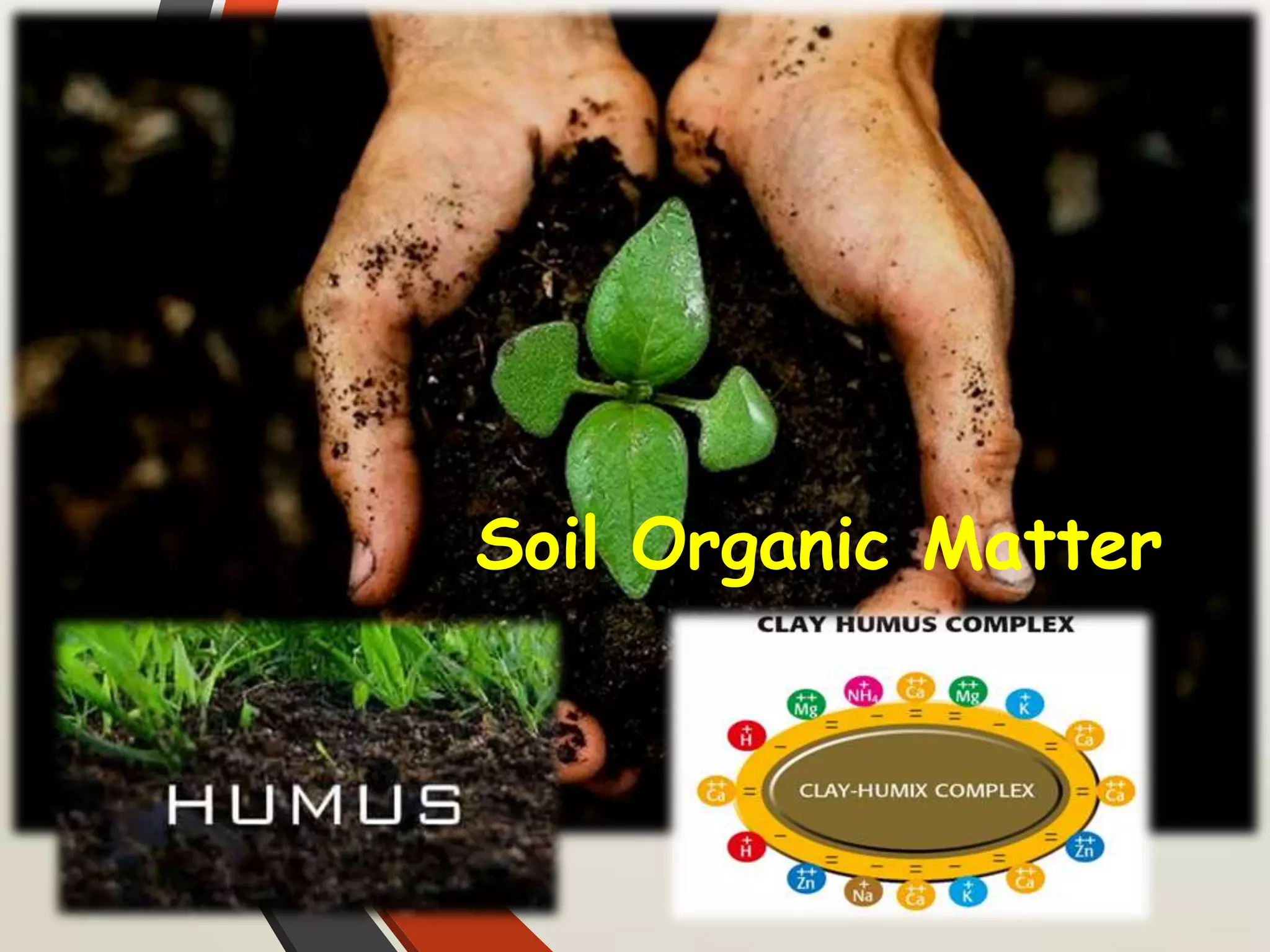 Soil organic matter and Humic substances | PPTX