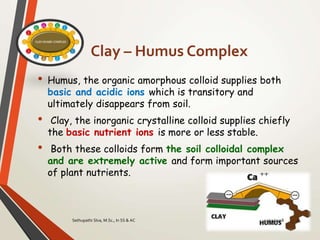 Soil organic matter and Humic substances | PPTX