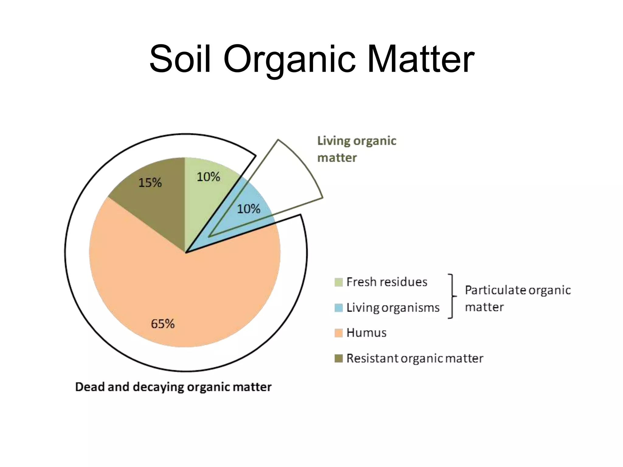 Soil Organic Matter.pptx