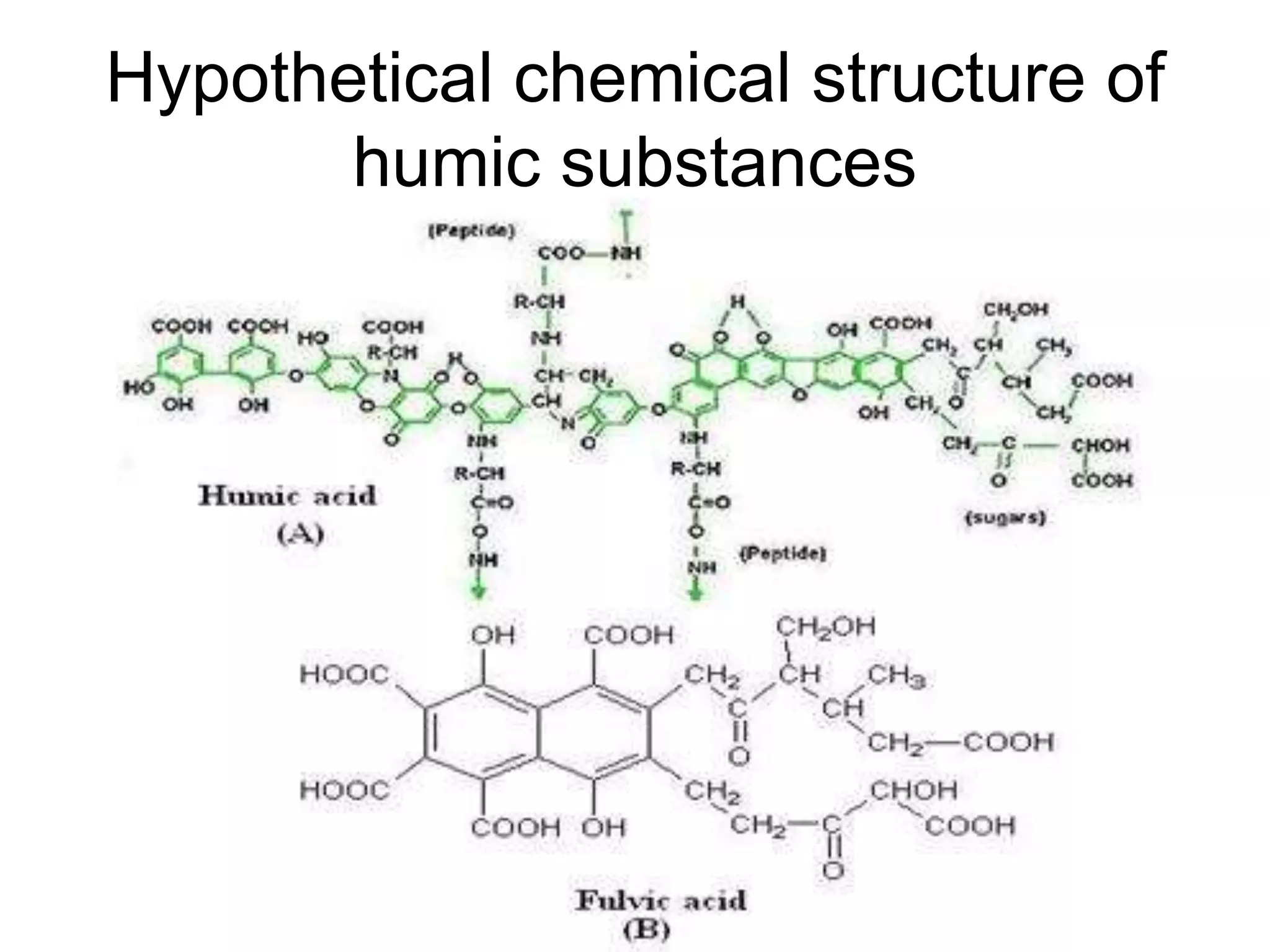 Soil Organic Matter.pptx