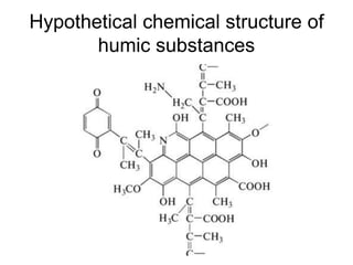 Soil Organic Matter.pptx