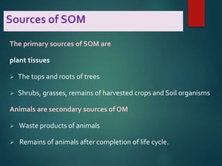 Soil Organic Matter.pptx