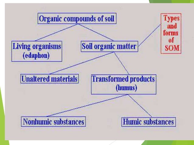 Soil Organic Matter.pptx | Chemistry | Science