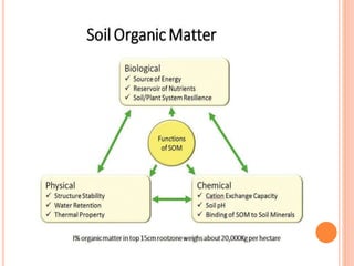 Soil Organic Matter(SOM) - Effects | PPTX