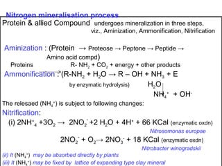 Ammonification Equation