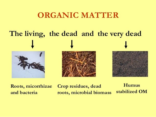 Soil organic matter pkm