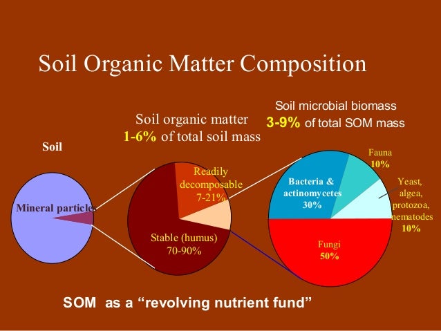 Effects Of Soil Organic Matter