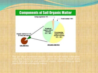 Soil organic matter pp | PPTX