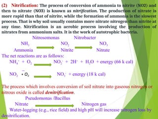Soil organic matter USS 101.ppt............................ | PPT