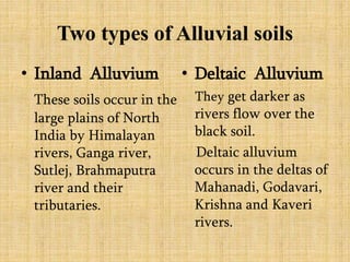 SOIL | PPTX