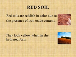 SOIL | PPT
