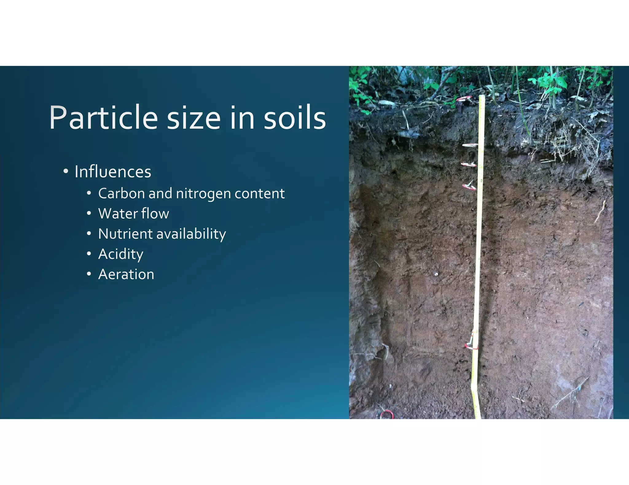 Soil Particle Size Analysis and Clay Fraction Extraction | PDF