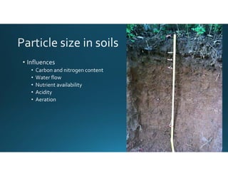 Soil Particle Size Analysis and Clay Fraction Extraction | PPT