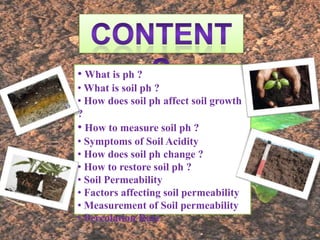 Soil | PPT