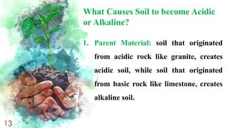 Soil PH_1.pptx