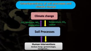 Soil physical environment in relation to climate change | PPT