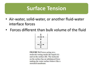 Water in Soil Physics | PPTX