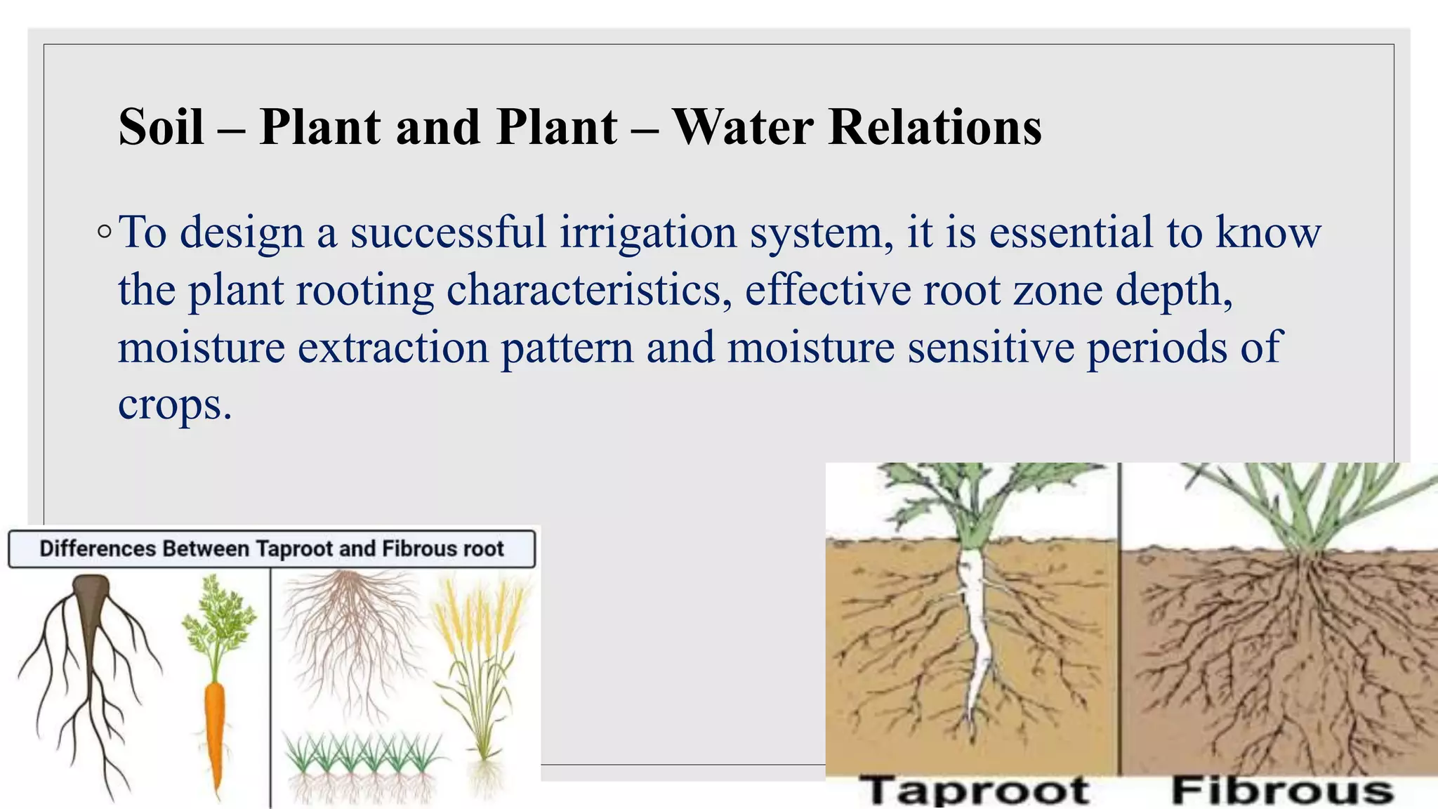 Soil – plant and plant – water relations | PPTX
