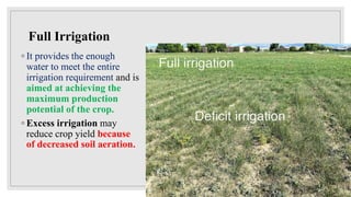 Soil – plant and plant – water relations | PPTX