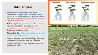 Soil – plant and plant – water relations | PPTX