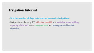 Soil – plant and plant – water relations | PPTX