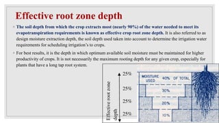 Soil – plant and plant – water relations | PPTX
