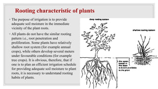 soilplantandplantwaterrelations.pptxqwetzu | PPT