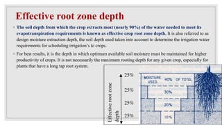 soilplantandplantwaterrelations.pptxqwetzu | PPT