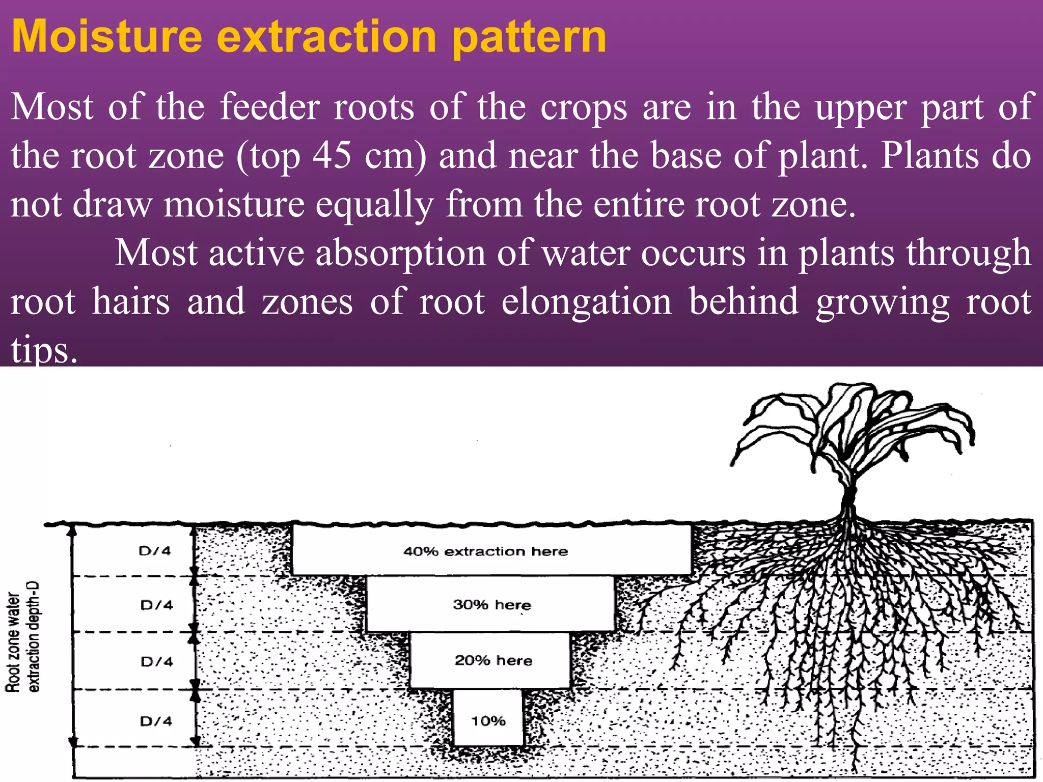 Soil plant water relationships | PPT