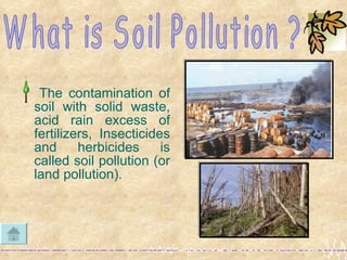 Soil Pollution | PPT
