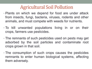 Soil pollution | PDF