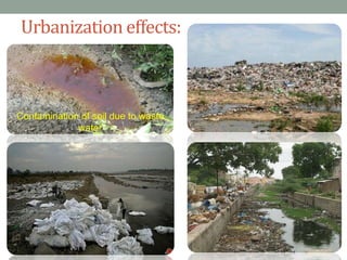Soil pollution | PDF