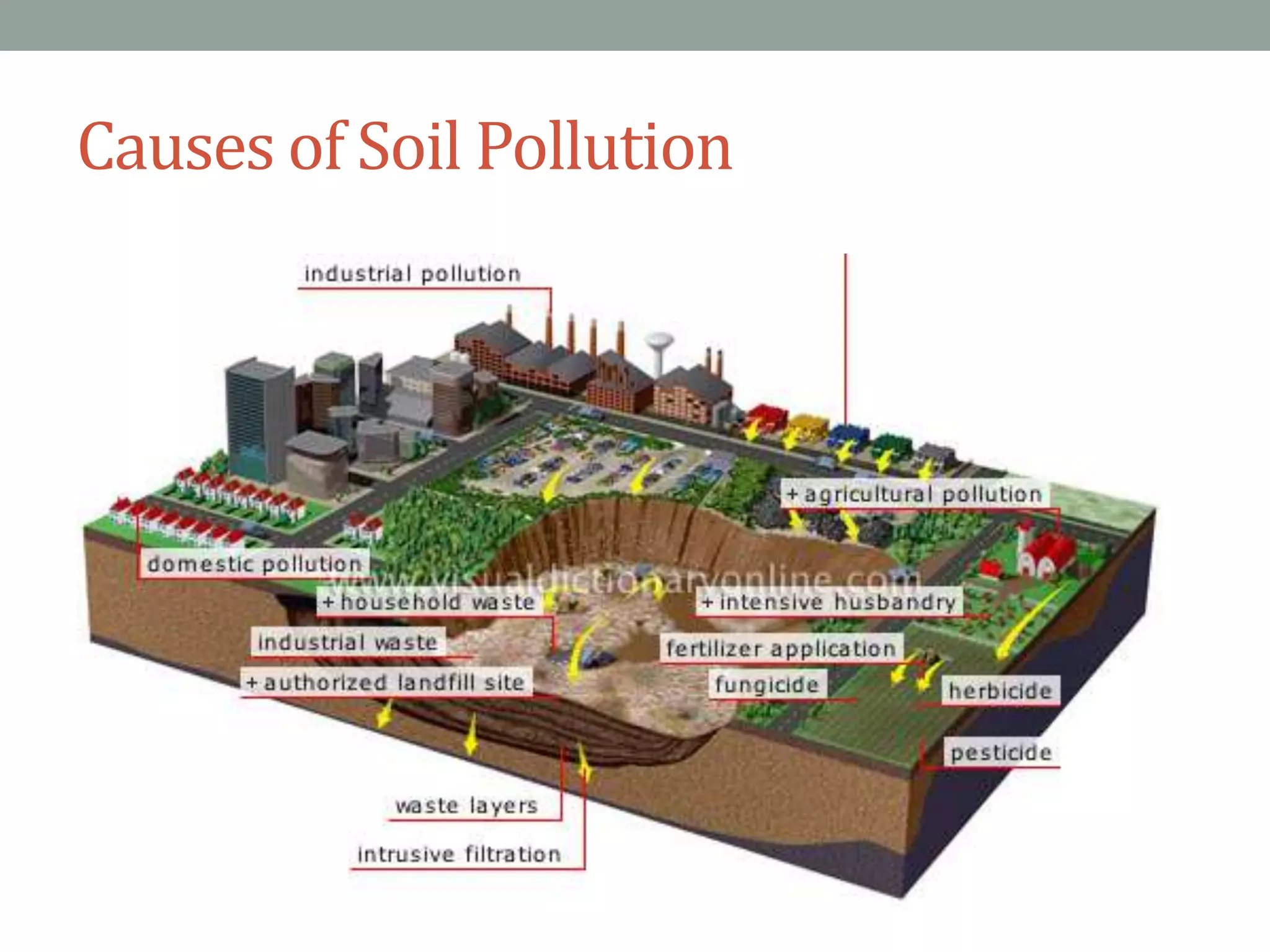 Soil pollution | PPTX | Industrial Property | Real Estate