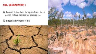 Soil pollution | PPTX