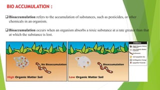 Soil pollution | PPTX