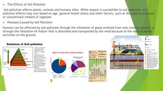 Soil pollution | PPTX
