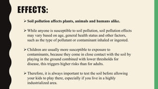 Soil Pollution | PPTX