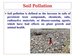Soil Pollution | PPT