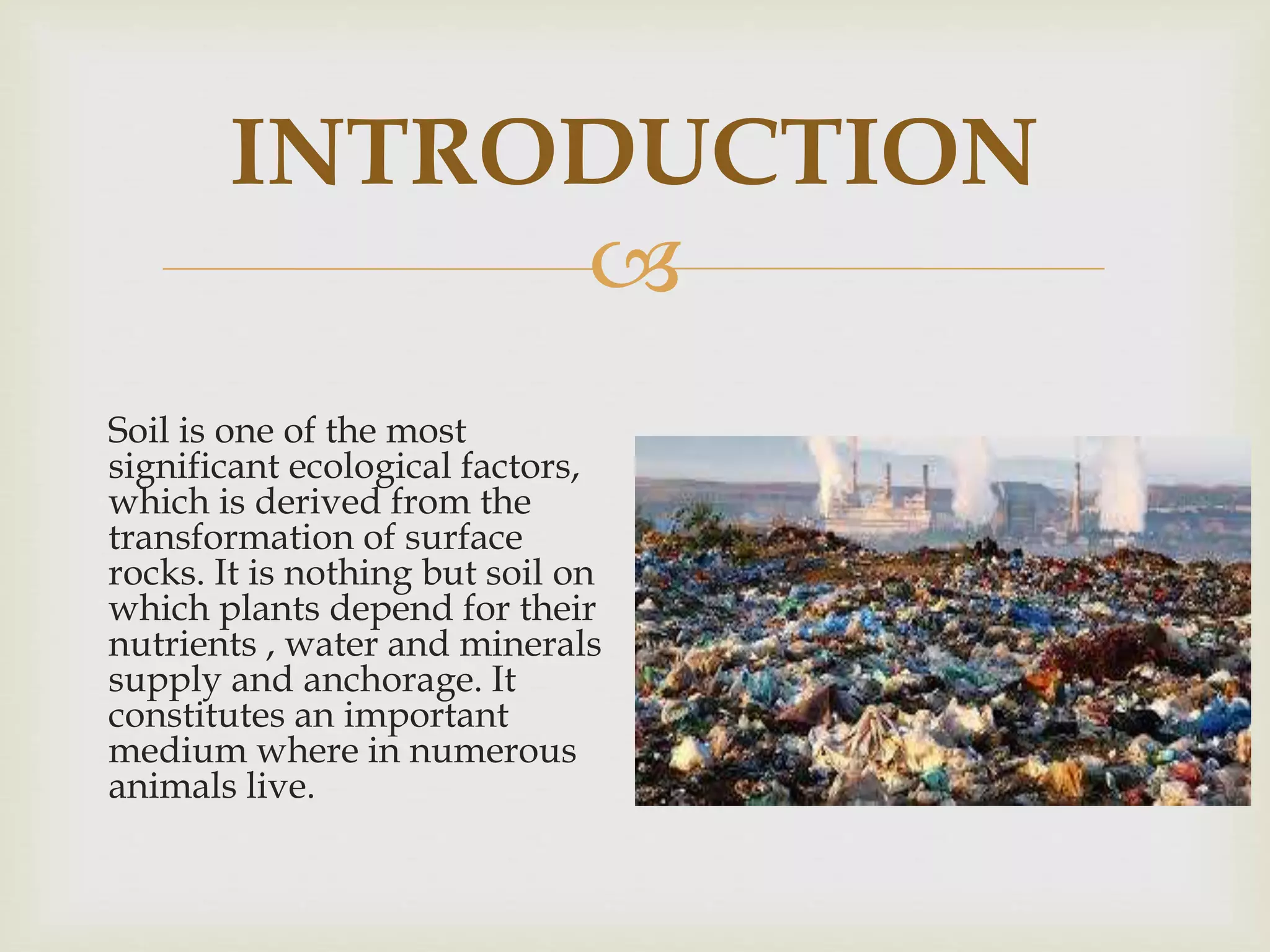Soil pollution | PPTX