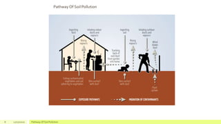 Soil pollution | PPTX