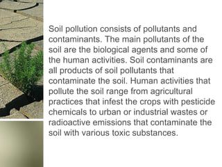 Soil pollution | PPTX