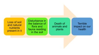 Soil pollution | PPT