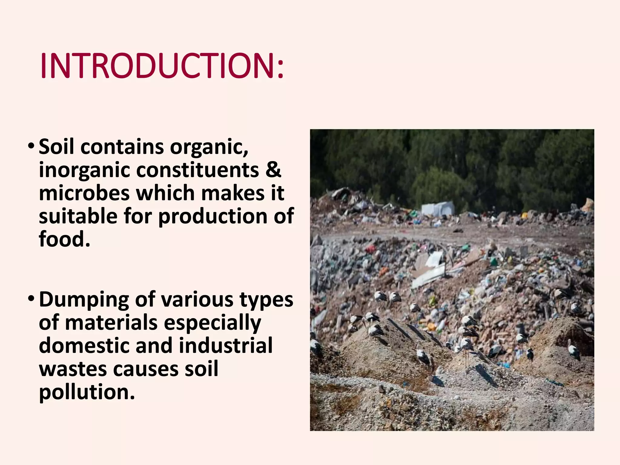 soil pollution.ppt