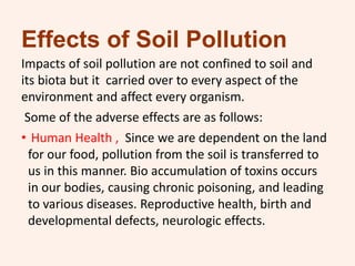 soil pollution.ppt