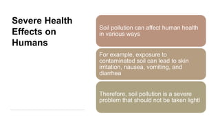 Soil Pollution.pptx