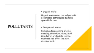 Soil pollution.pptx