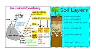 Soil pollution.pptx