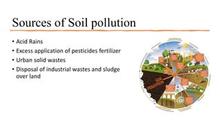 Soil pollution.pptx